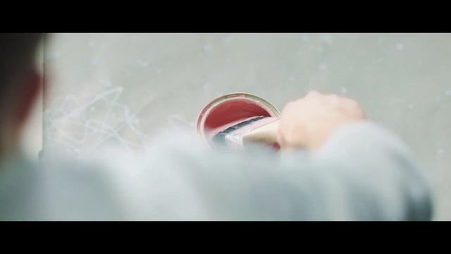 Vivacolor – безопасные для здоровья интерьерные краски