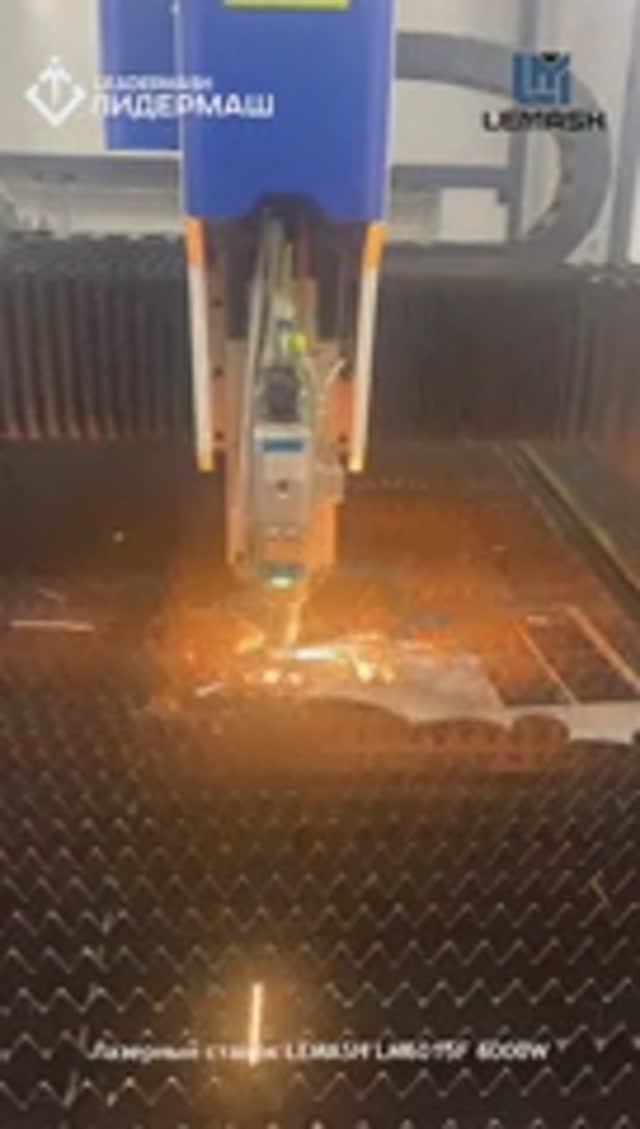 Волоконный лазерный станок LEMASH LM6015F 6000W