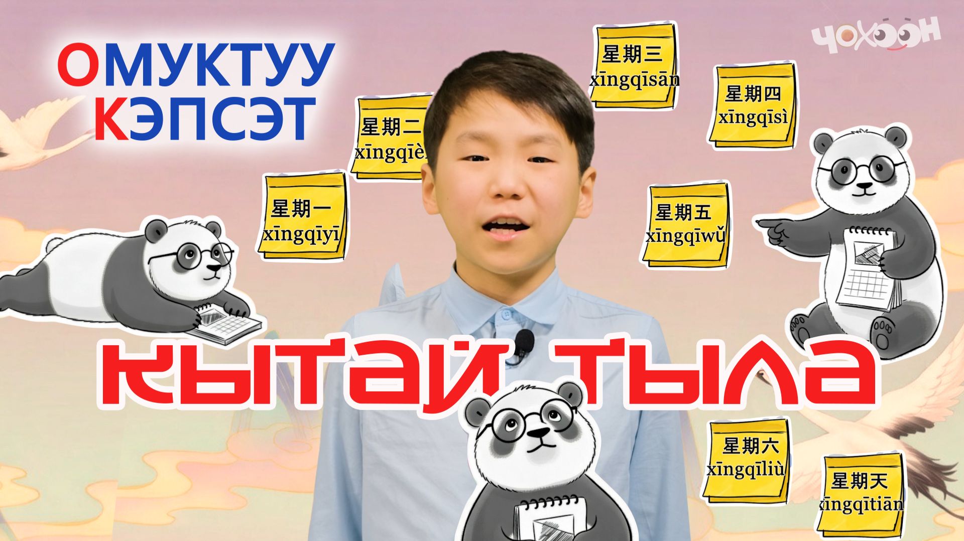 Кытай тыла 13