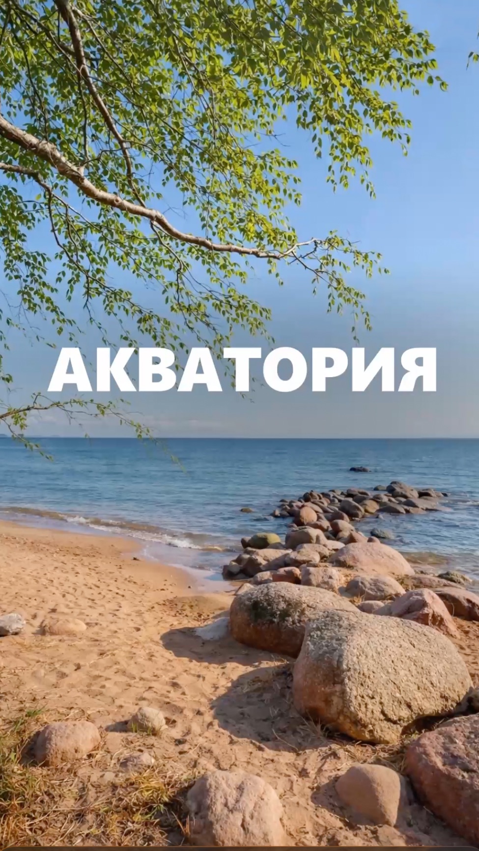 🌊 ЗАГОРОДНЫЙ ДОМ НА БЕРЕГУ ФИНСКОГО ЗАЛИВА