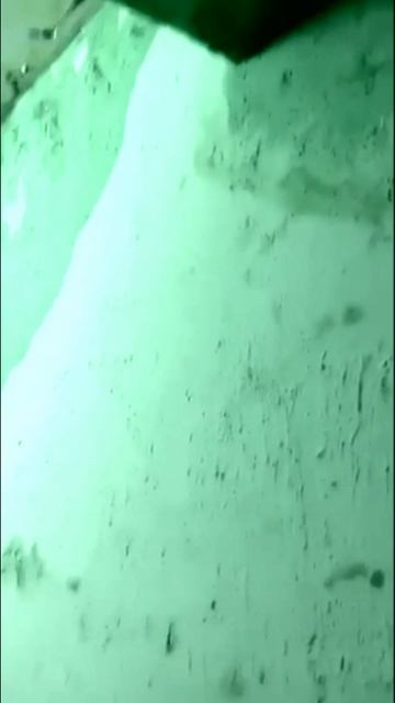 Состояние подъезда в Можайском районе Москвы