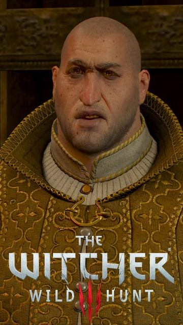 Как гудят колокола в Боклере. Сарказм о сломанной ноге Дийкстры  The Witcher 3 - Wild Hunt