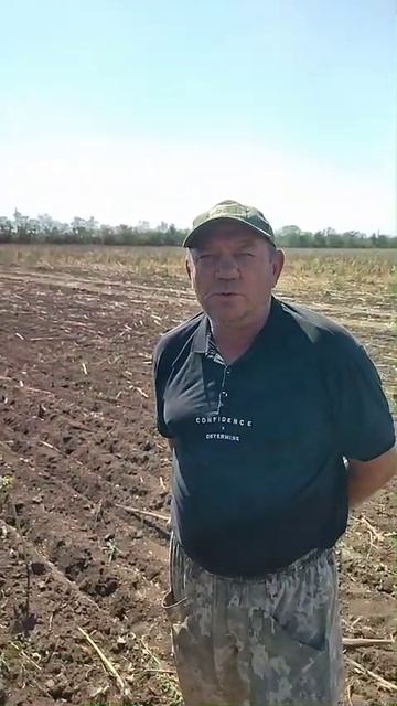 Отзыв о Синерджи от "Грейнрус Агро" (Ростовская область)