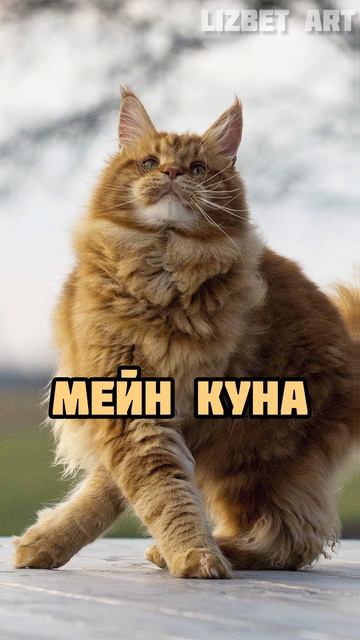 Рисую несуществующее животное🐻+🐱=❓(ч.128) #tiktok #shorts #art #gouach #творчество