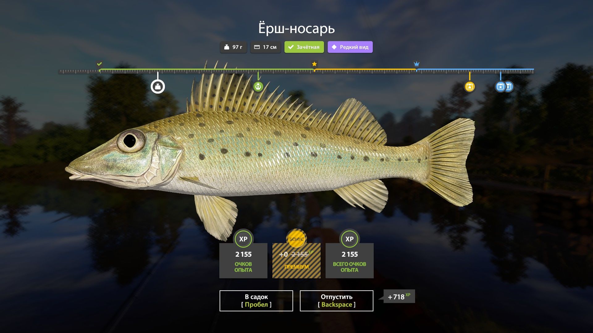 Играем в Russian Fishing 4 ловим ерша-носаря,ерша,окуня,рака и другую рыбку на р.Вьюнок.