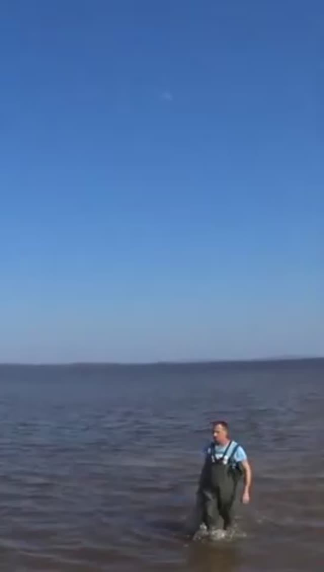 НАГЛО ОТОБРАЛИ СЕТЬ! Shorts