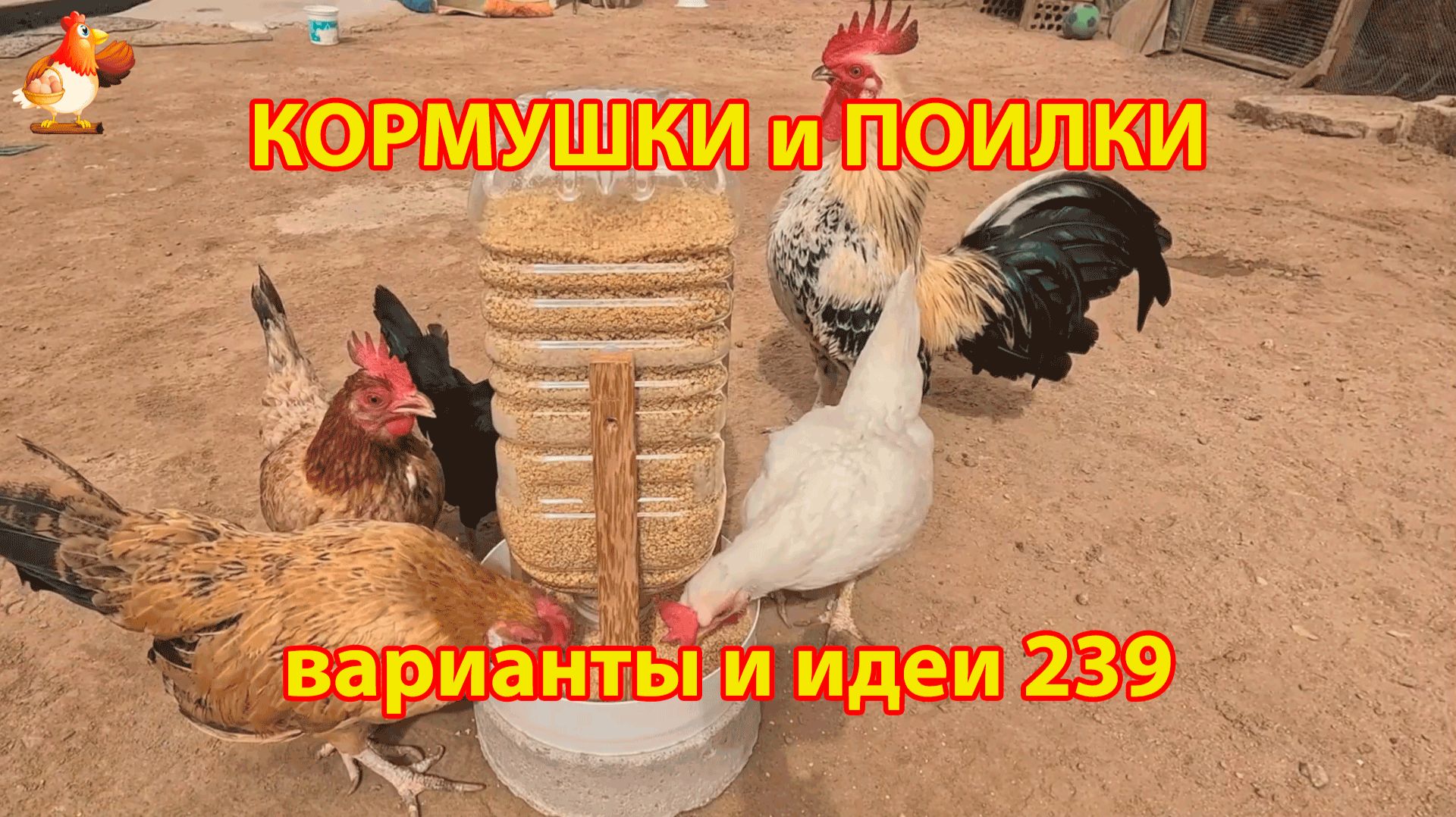 Кормушки и поилки для кур своими руками 239 🪚✂️ Пошаговая инструкция как сделать 🐔 🐓❣️