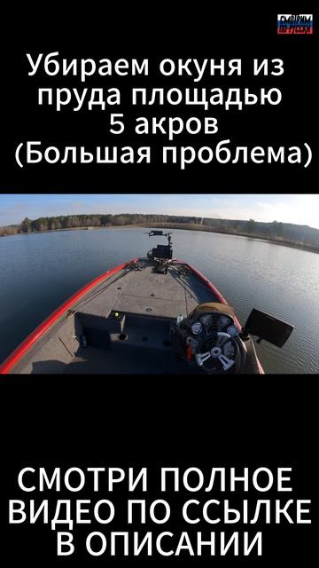 Убираем окуня из пруда площадью 5 акров 🎣🐟 (Большая проблема ⚠️) ЧАСТЬ 9/11