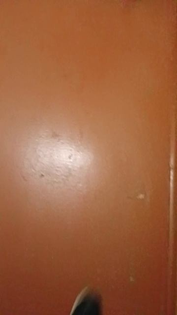 дверь просто дверь