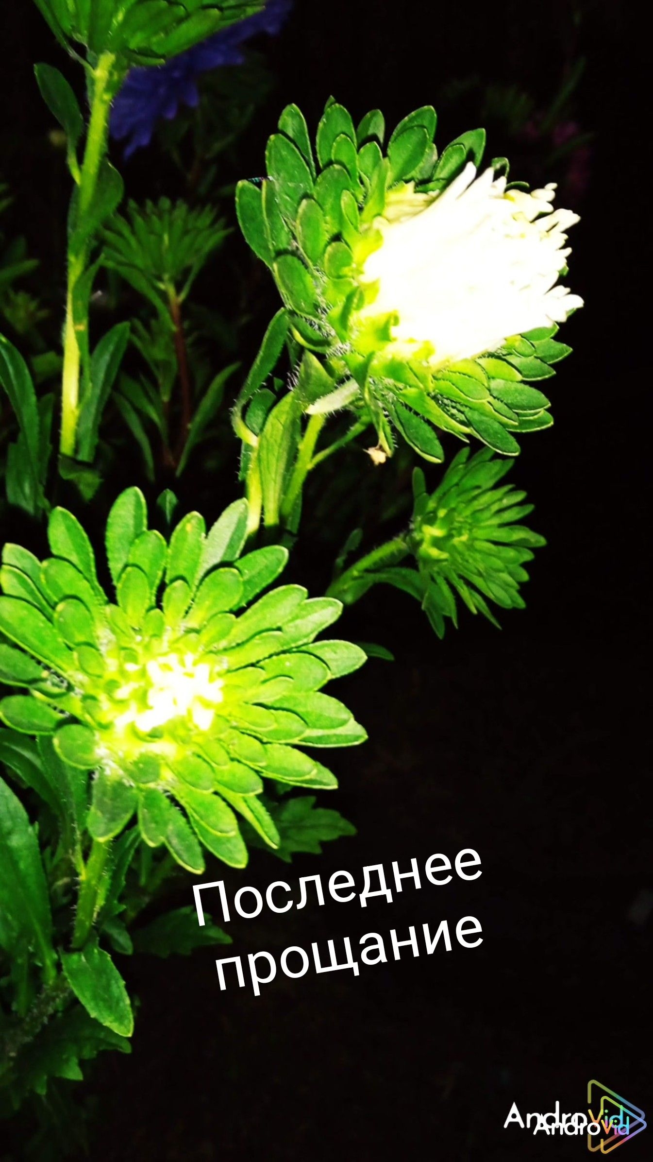 Памяти Друга 🙏19-03-2026