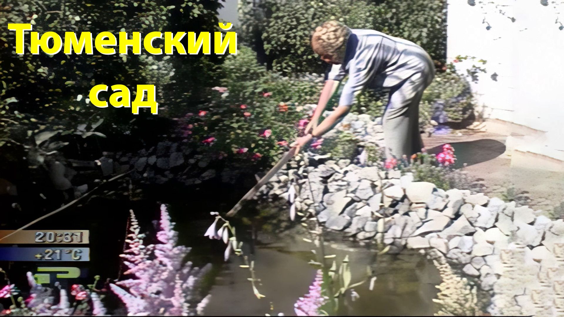 Тюменский сад, 2000-е: лекарственные травы и дача моей мамы (2 части)