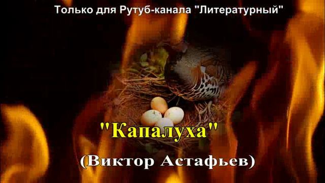 "Капалуха" художественный пересказ