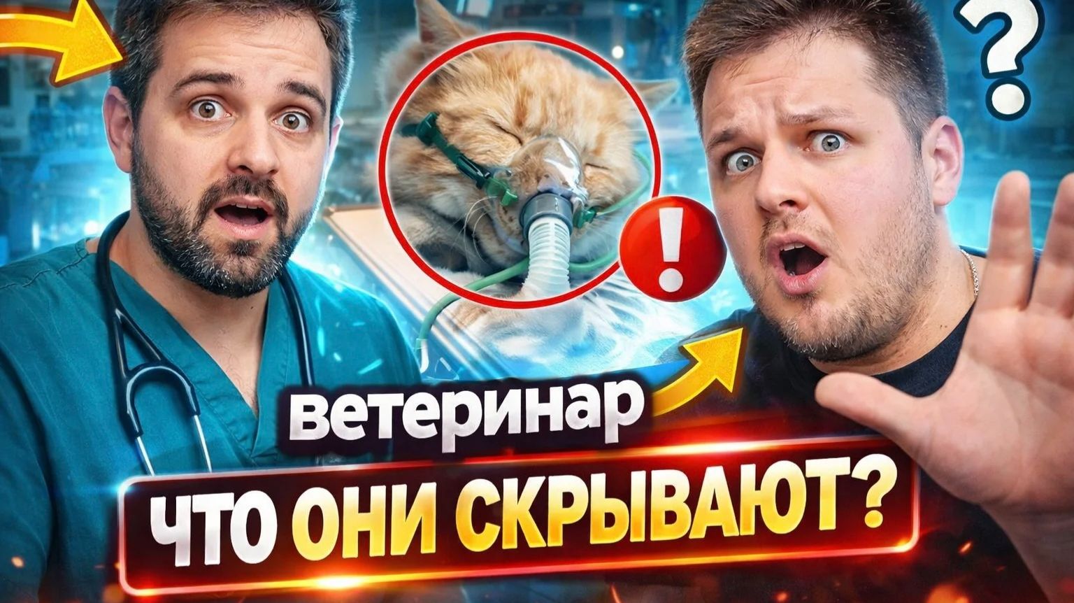 Интервью с Ветеринаром.