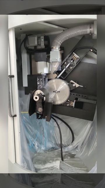 WoodForce 800A Станок для заточки дисковых пил с ЧПУ