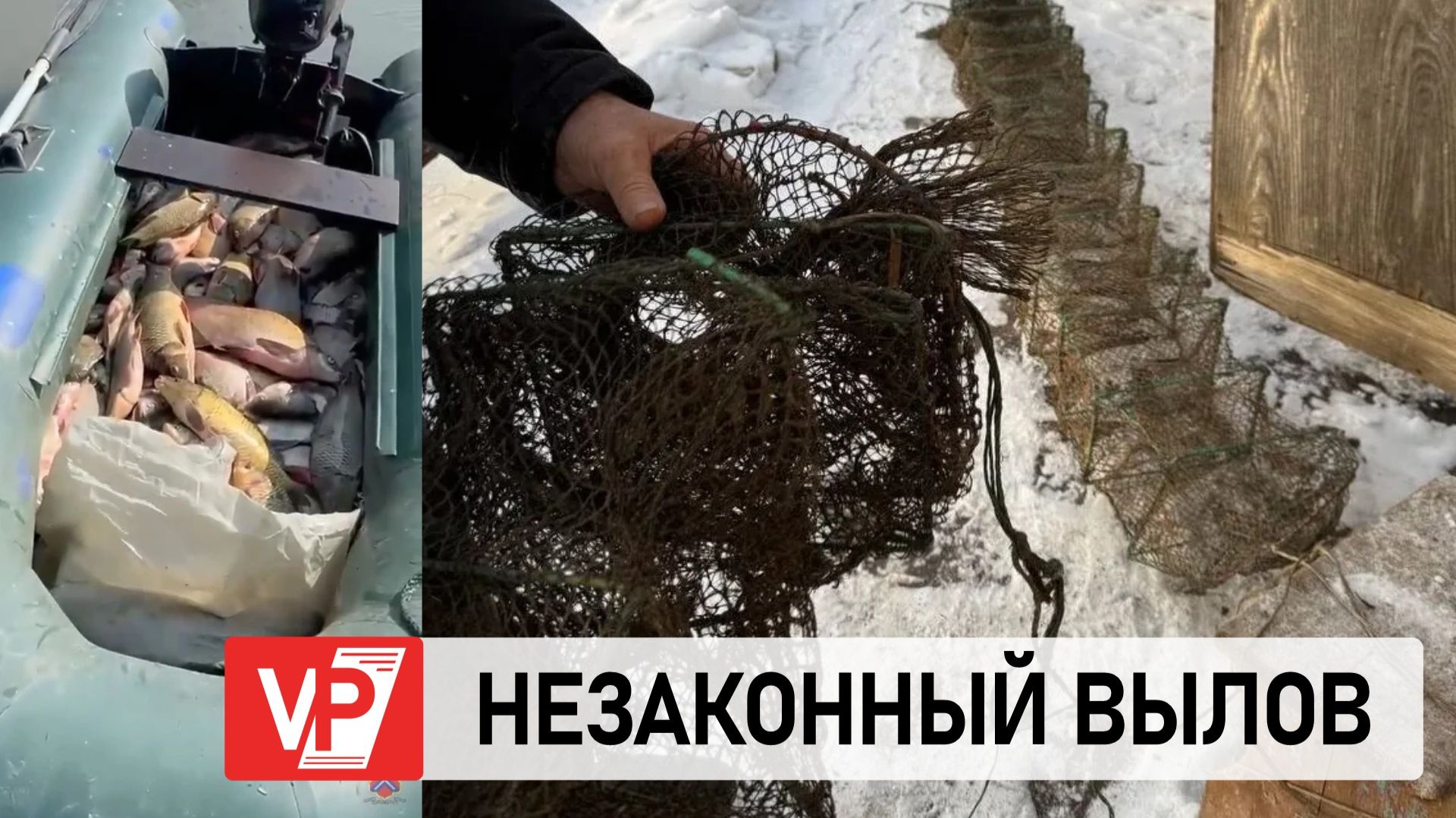 В ВОЛГОГРАДСКОЙ ОБЛАСТИ СОТРУДНИКИ ПОЛИЦИИ ПРЕСЕКЛИ НЕЗАКОННЫЙ ВЫЛОВ РЫБЫ