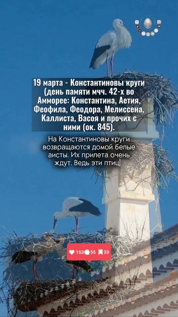 На Константиновы круги...