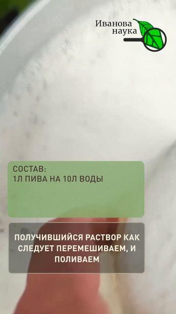 Стволы в палец толщиной! Вся РАССАДА ЖИРНЕНЬКАЯ от ЭТОЙ подкормки.