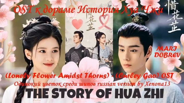 OST_к_дораме_История_Хуа_Чжи_Одинокий_цветок_среди_шипов_russian