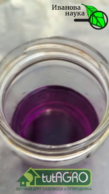 🛑 НЕ ЖГИТЕ СЕМЕНА! Хватит травить рассаду! Ошибка с йодом и марганцовкой. Вот правильный рецепт.