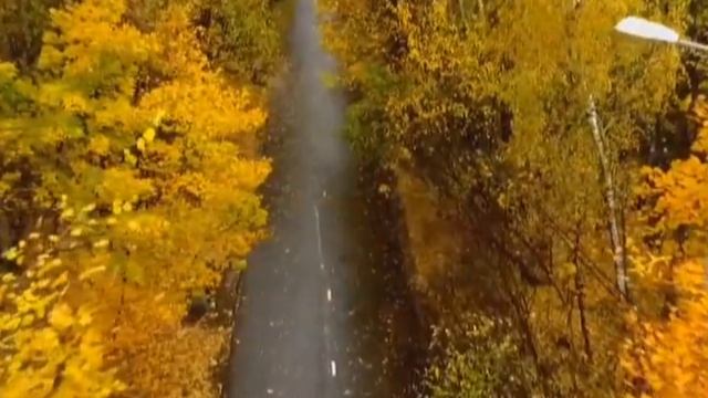 Госпожа | Madam | Настя Усольцева. Премьера клипа.