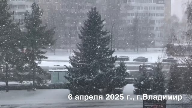 Она вернулась  / Архив от 06.04.2025