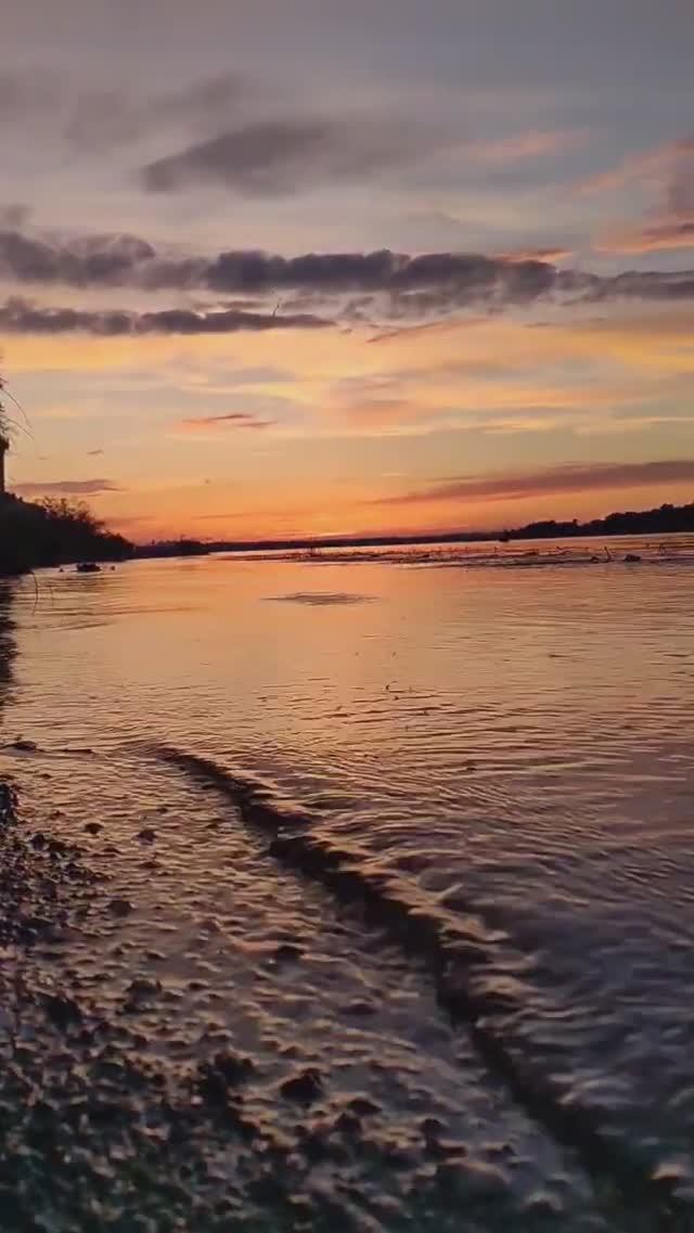 Монстры на закате. Пиявка волжская ползёт в атаку