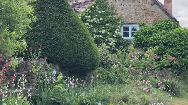 АНГЛИЯ СКРЫТЫЕ ЖЕМЧУЖИНЫ КОТСУОЛДА—сады Кифтсгейт-Корт  Сноушилл, Келмскотт,