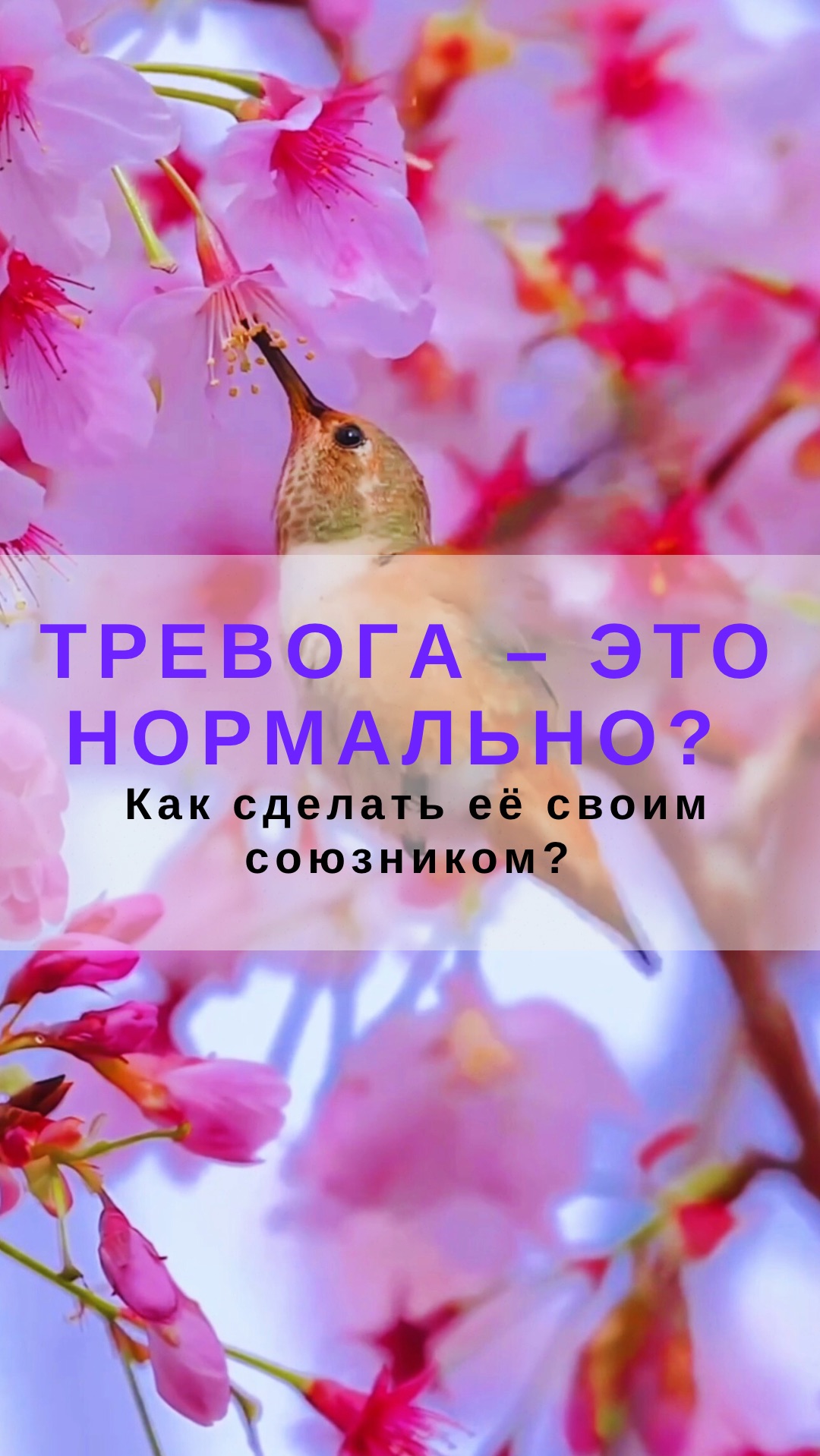Почему тревога – это нормально?  Как сделать её своим союзником?