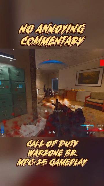 CALL OF DUTY WARZONE BR MPC 25
