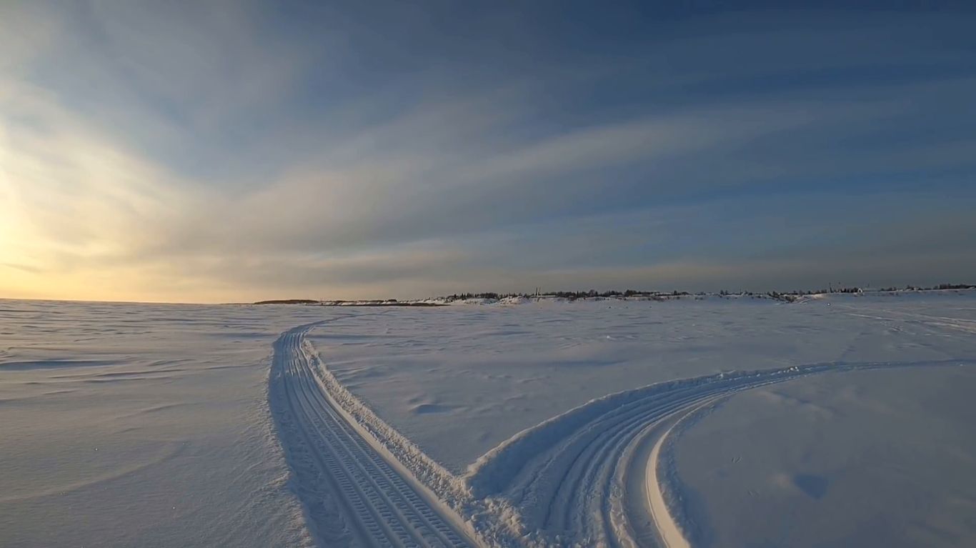 Весна. Природа оживает, но очень медленно...
