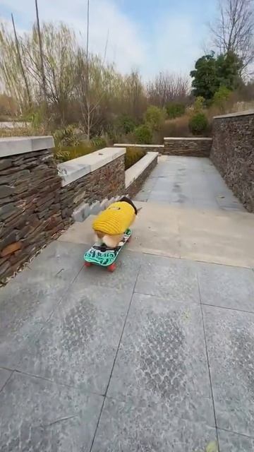 Юмор 5 звезд - #юмор #смешно #ржач #прикол #анекдот #веселоевидео