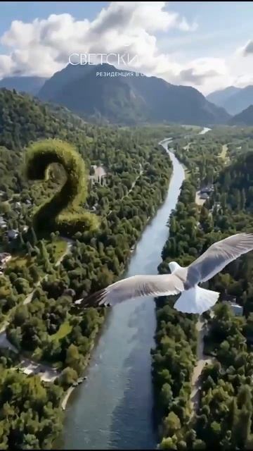 Светский лес, Сочи