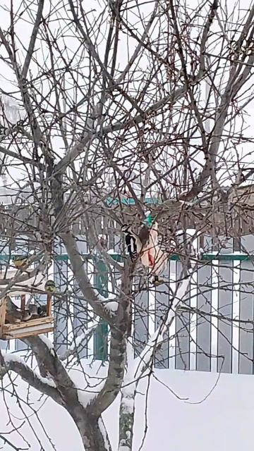 до весны один шаг