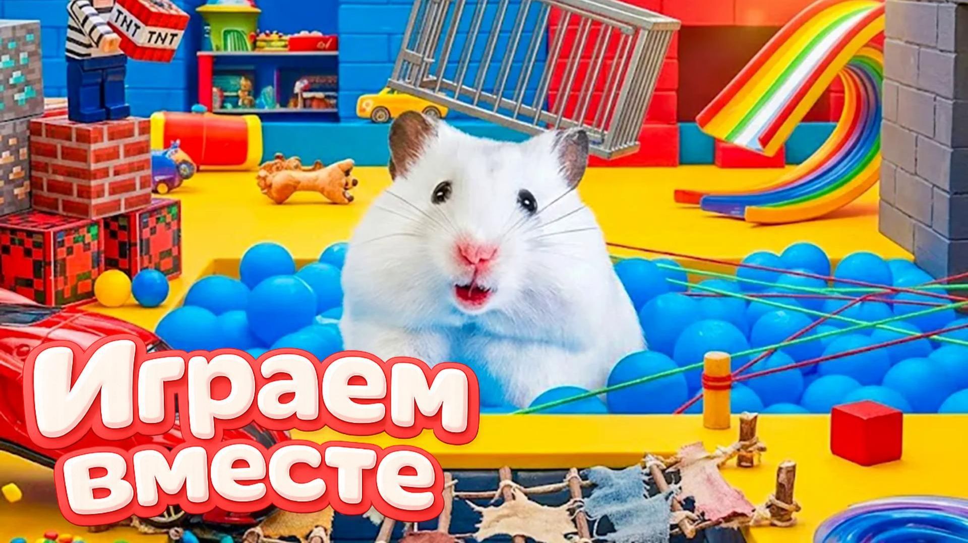 НОВЫЙ ОПАСНЫЙ ЛАБИРИНТ ДЛЯ ХРАБРОГО И УМНОГО ХОМЯКА 🐹🏆 ВИДЕО ДЛЯ ДЕТЕЙ ! ЧАСТЬ 7