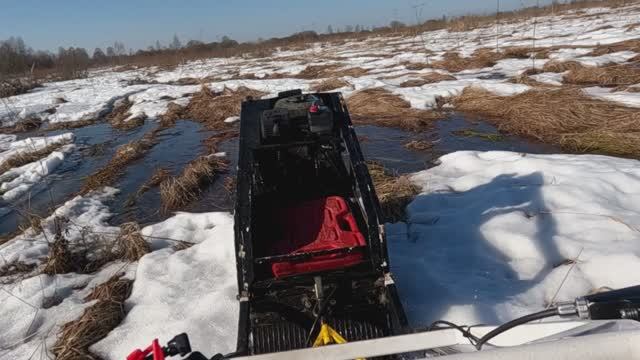 Журчат ручьи, слепят лучи, и тает лёд...
