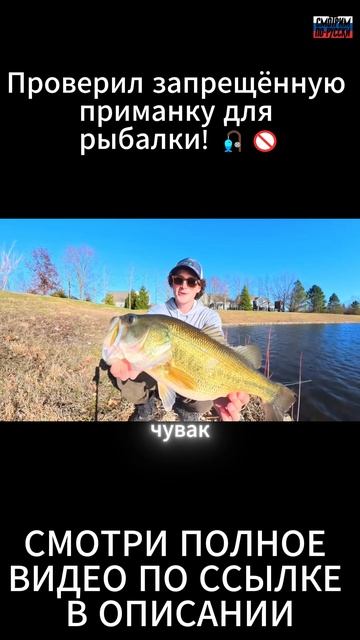 Проверил запрещённую приманку для рыбалки! 🎣🚫 ЧАСТЬ 4/4
