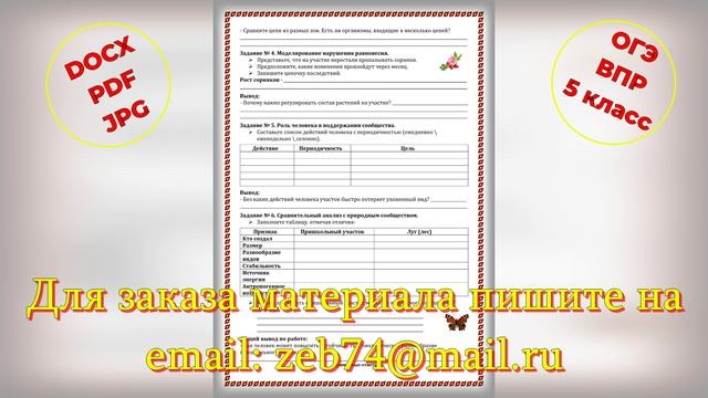 Практическая работа "Искусственные сообщества на примере пришкольного участка". Биология 5 класс
