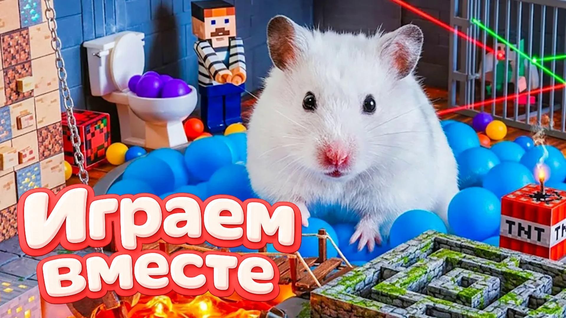 НОВЫЙ ОПАСНЫЙ ЛАБИРИНТ ДЛЯ ХРАБРОГО И УМНОГО ХОМЯКА 🐹🏆 ВИДЕО ДЛЯ ДЕТЕЙ ! ЧАСТЬ 2