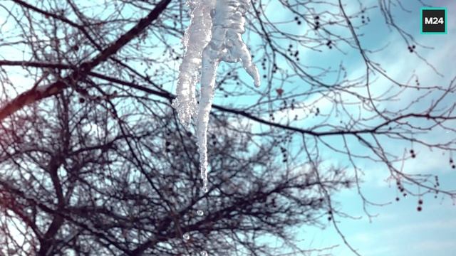 Весна в Москве | О Москве с любовью