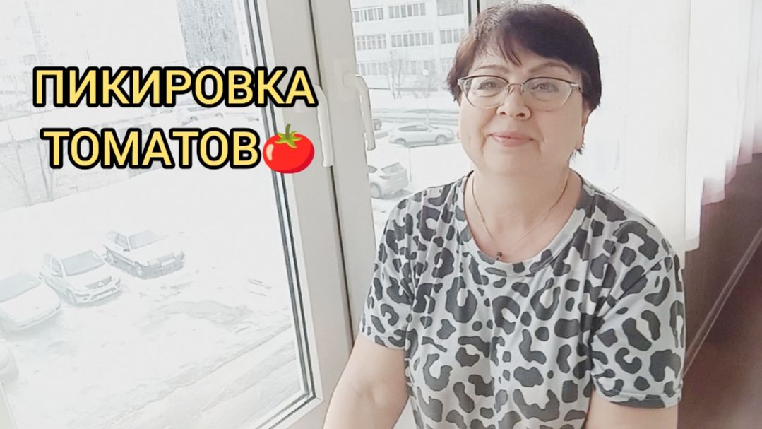 КОГДА ПИКИРОВАТЬ ТОМАТЫ 🍅 18.03.26г