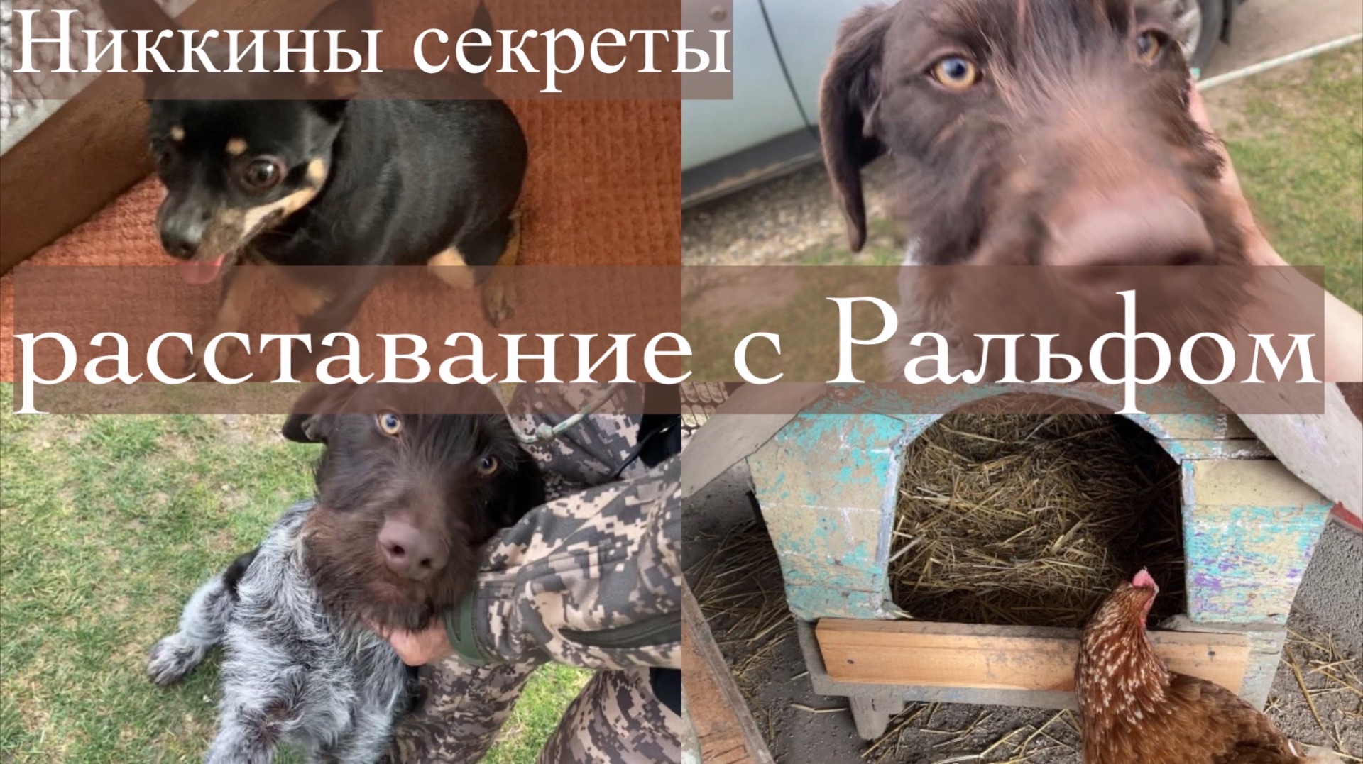 Адыгея/ Жизнь на хуторе/ Опять секреты/ Ральфа забрали/ Дела огородные/