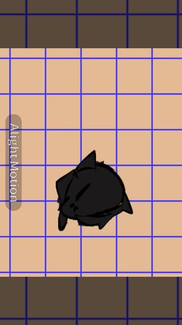 Идея Микори_Кет