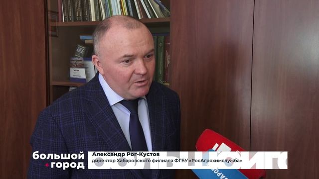 ПРИГОДНОСТЬ И ПЛОДОРОДНОСТЬ. Большой город 18/03/2026