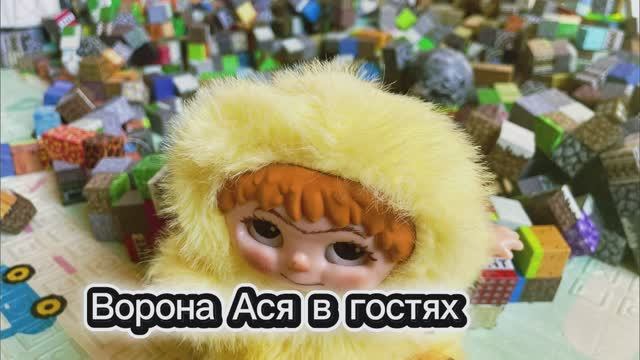 Тысяча кубиков! Ворона Ася в гостях