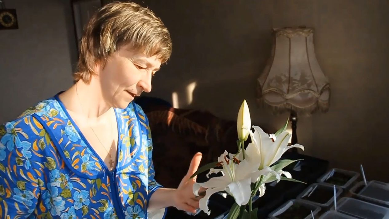 «ПРОКЛЮНУЛИСЬ» ТАБАЧНЫЕ РОСТКИ! - клип моей весенней песни из цикла «Поэзия земли нижегородской»