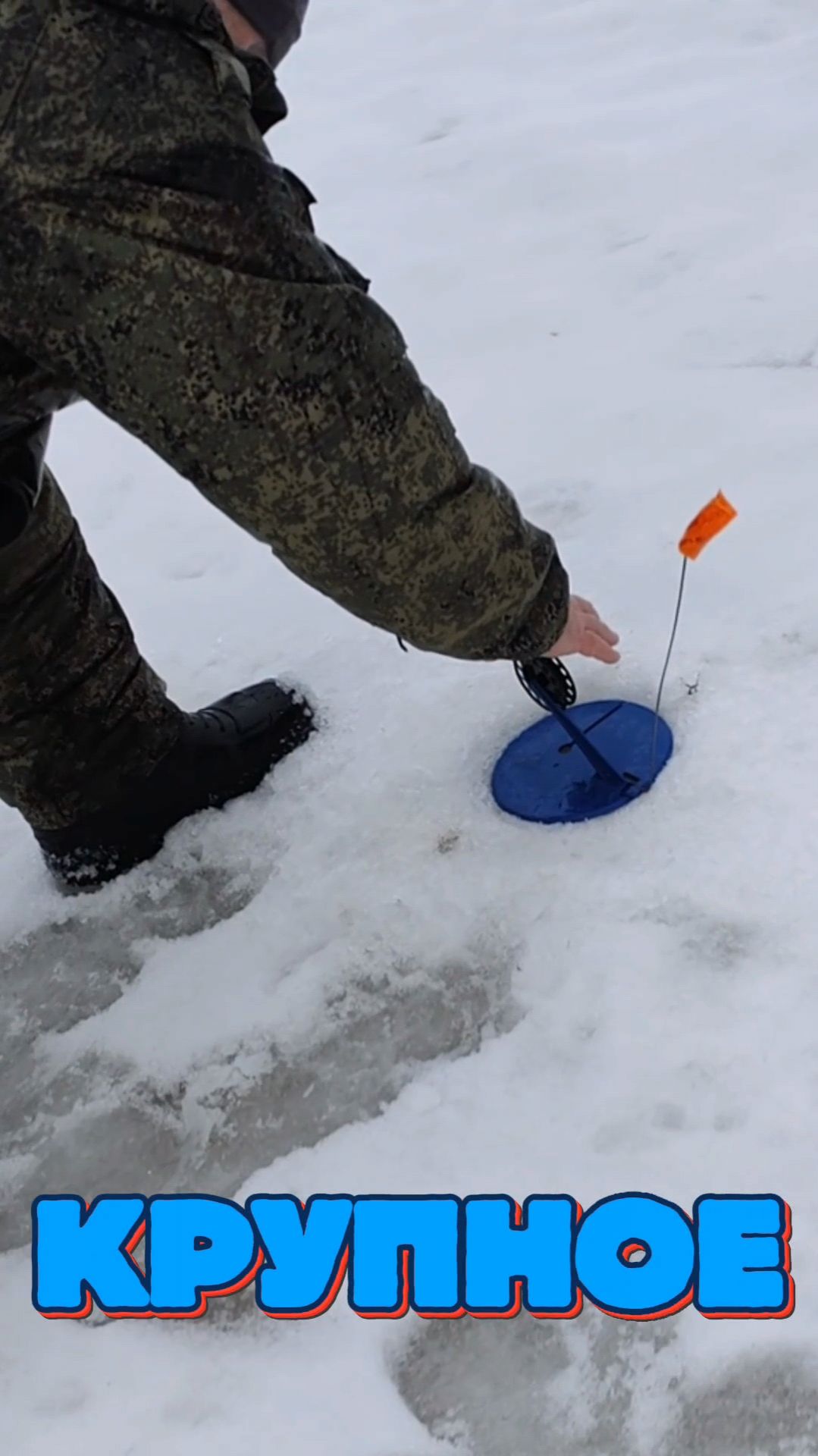 А у вас было такое? Клюнул трофей!