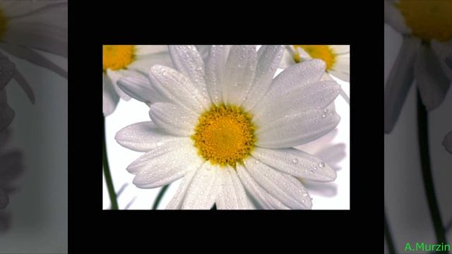 Alexander Karshkov - Cosmic Dream