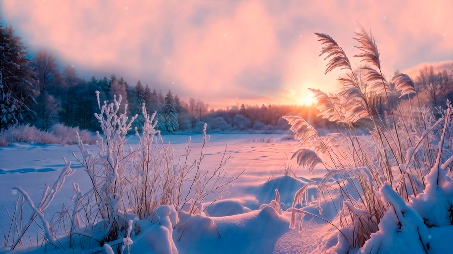 ОЧЕНЬ КРАСИВАЯ УСПОКАИВАЮЩАЯ МУЗЫКА ДЛЯ СНА 🎵 РАССЛАБЛЯЮЩАЯ РЕЛАКС МУЗЫКА ДЛЯ ДУШИ В ЛУЧАХ ЗАКАТА