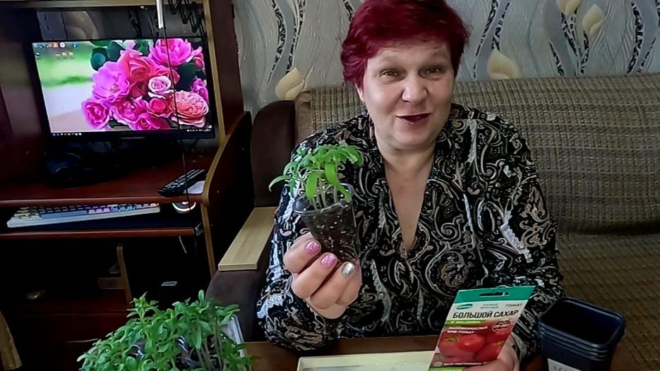 📌 ВАЖНО! Не пикируйте томаты, пока не посмотрите это видео!!