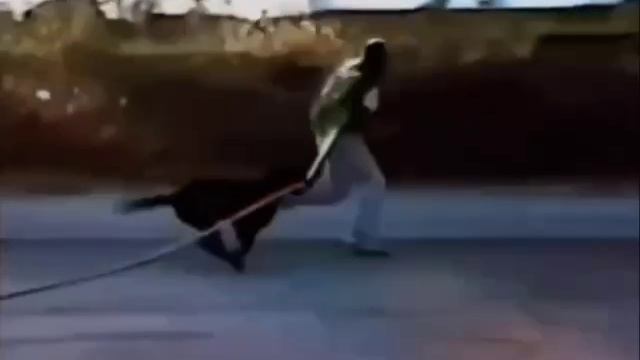 Лучшие друзья